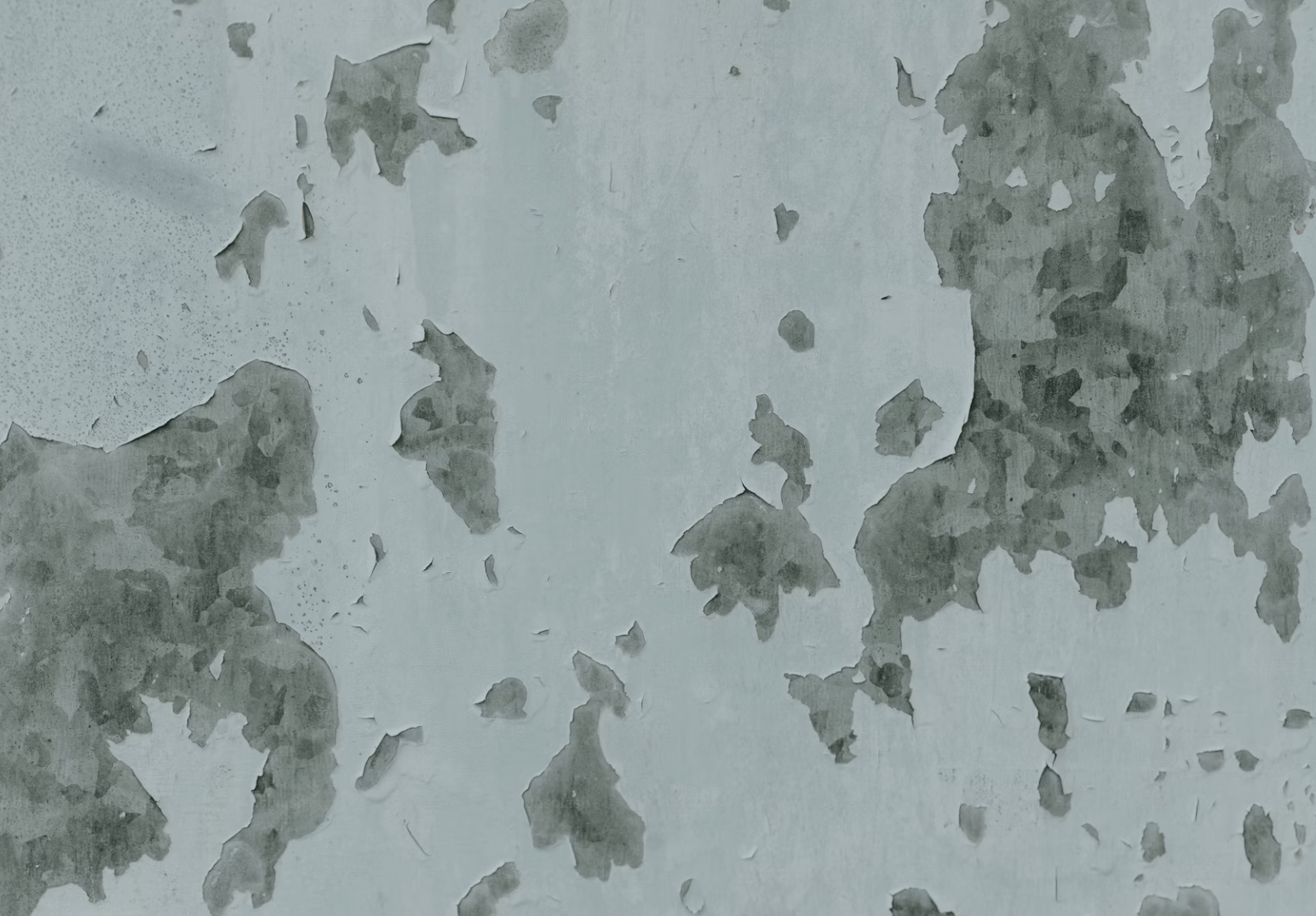 Understanding Damp: What Homeowners Need to Know - TCL Chartered Surveyors